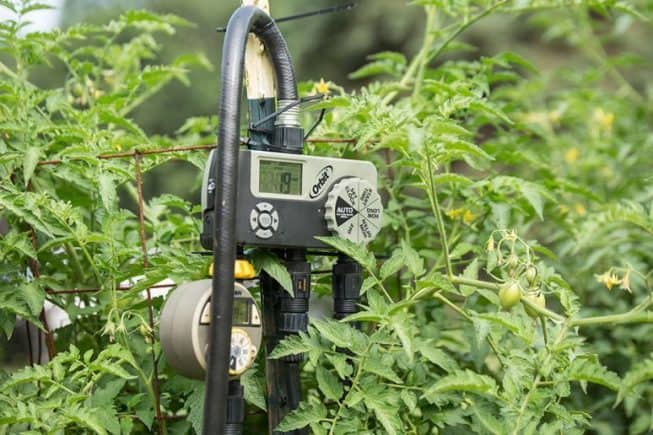 One KEY to a successful Straw Bale Garden set up is the wire trellis ...
